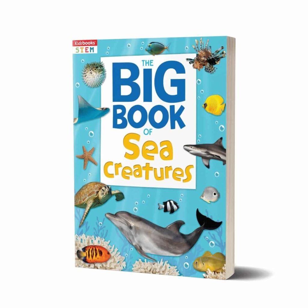 The Big Book of Sea Creatures | Kidsbooks Publishing
