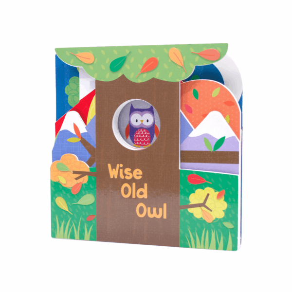LBB Wise Old Owl 3D | Kidsbooks Publishing