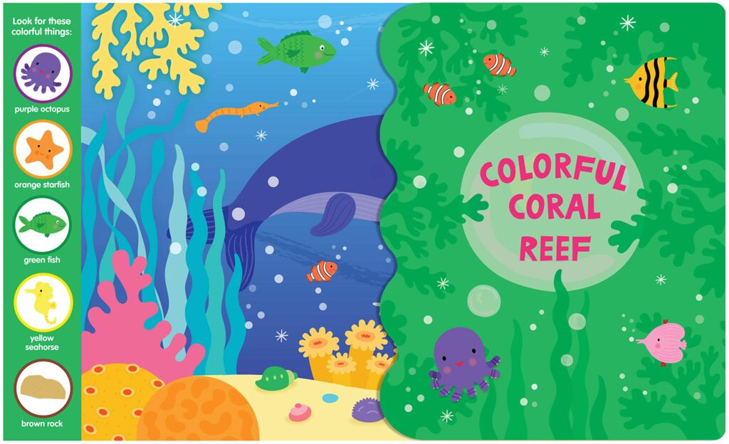 Search & Find: Under the Sea (with Foldout Pages) | Kidsbooks Publishing