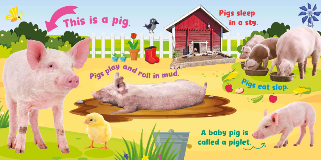 First Animal Facts: Farm | Kidsbooks Publishing
