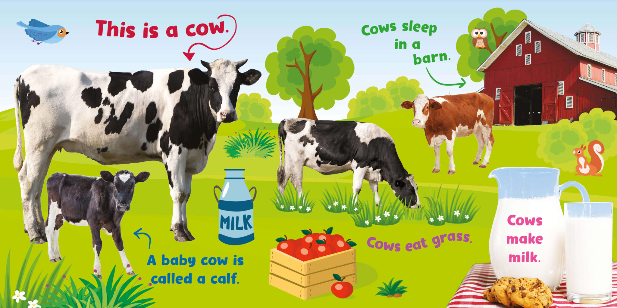 First Animal Facts: Farm (Sound Book) | Kidsbooks Publishing
