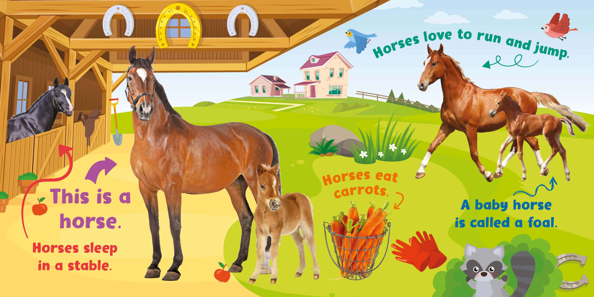 First Animal Facts: Farm (Sound Book) | Kidsbooks Publishing