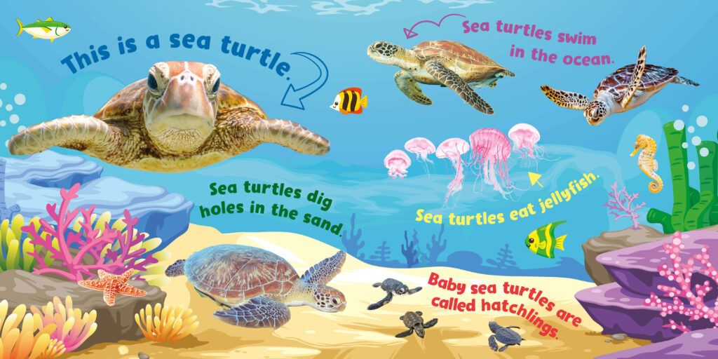 First Animal Facts: Ocean (Sound Book) | Kidsbooks Publishing