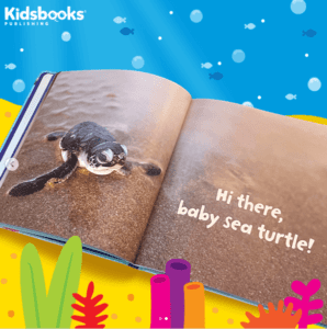 Big Beautiful Ocean | Kidsbooks Publishing