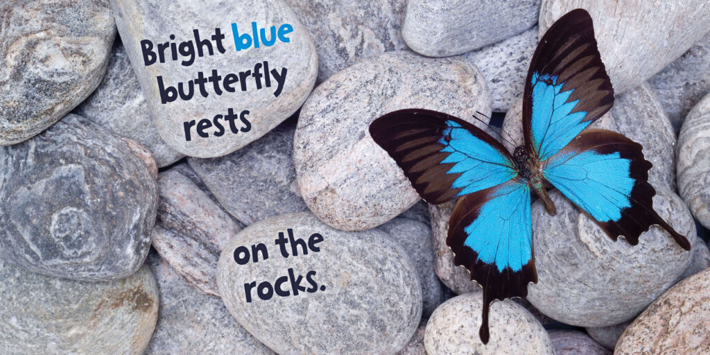 Wild Wonderful Animals | Kidsbooks Publishing