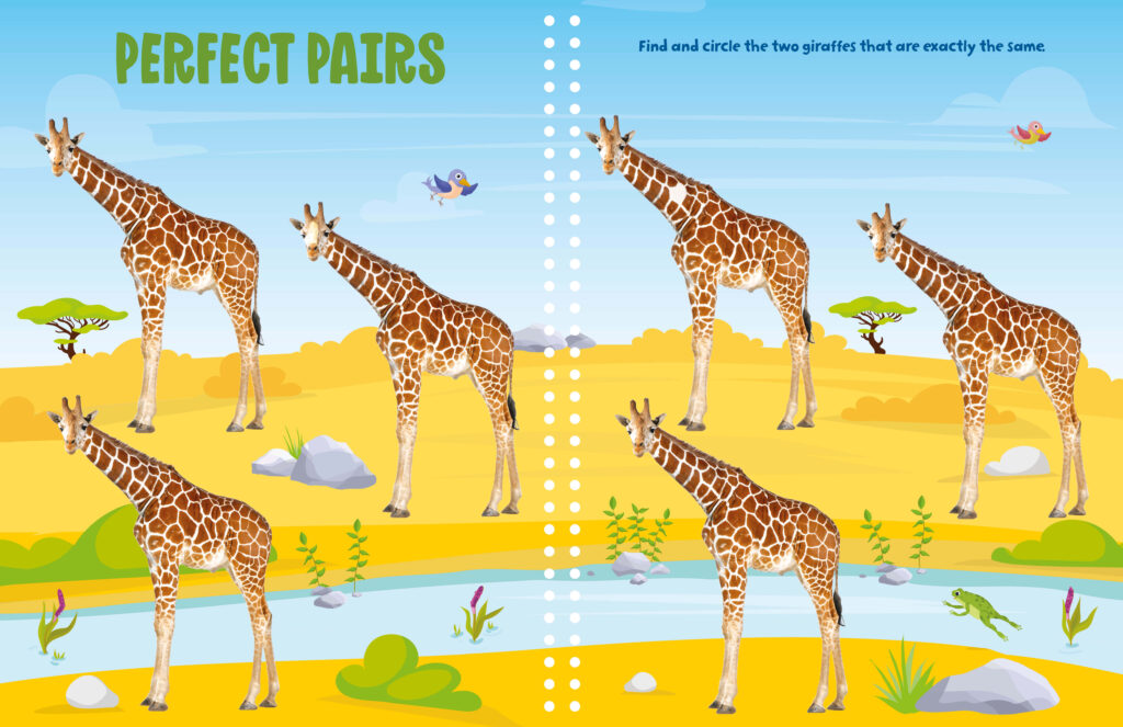 Discover Animals Write & Wipe | Kidsbooks Publishing