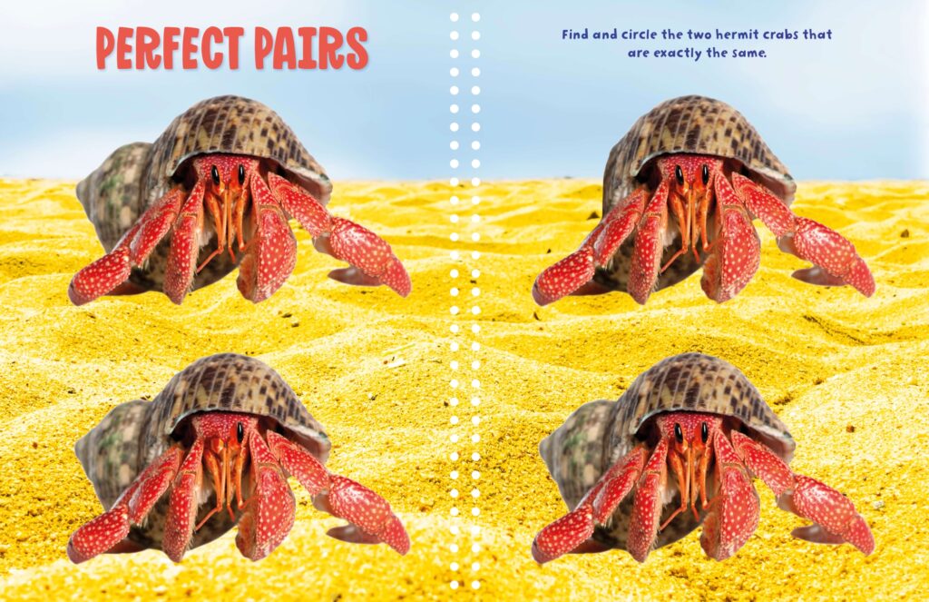 Discover Ocean Animals Write & Wipe | Kidsbooks Publishing