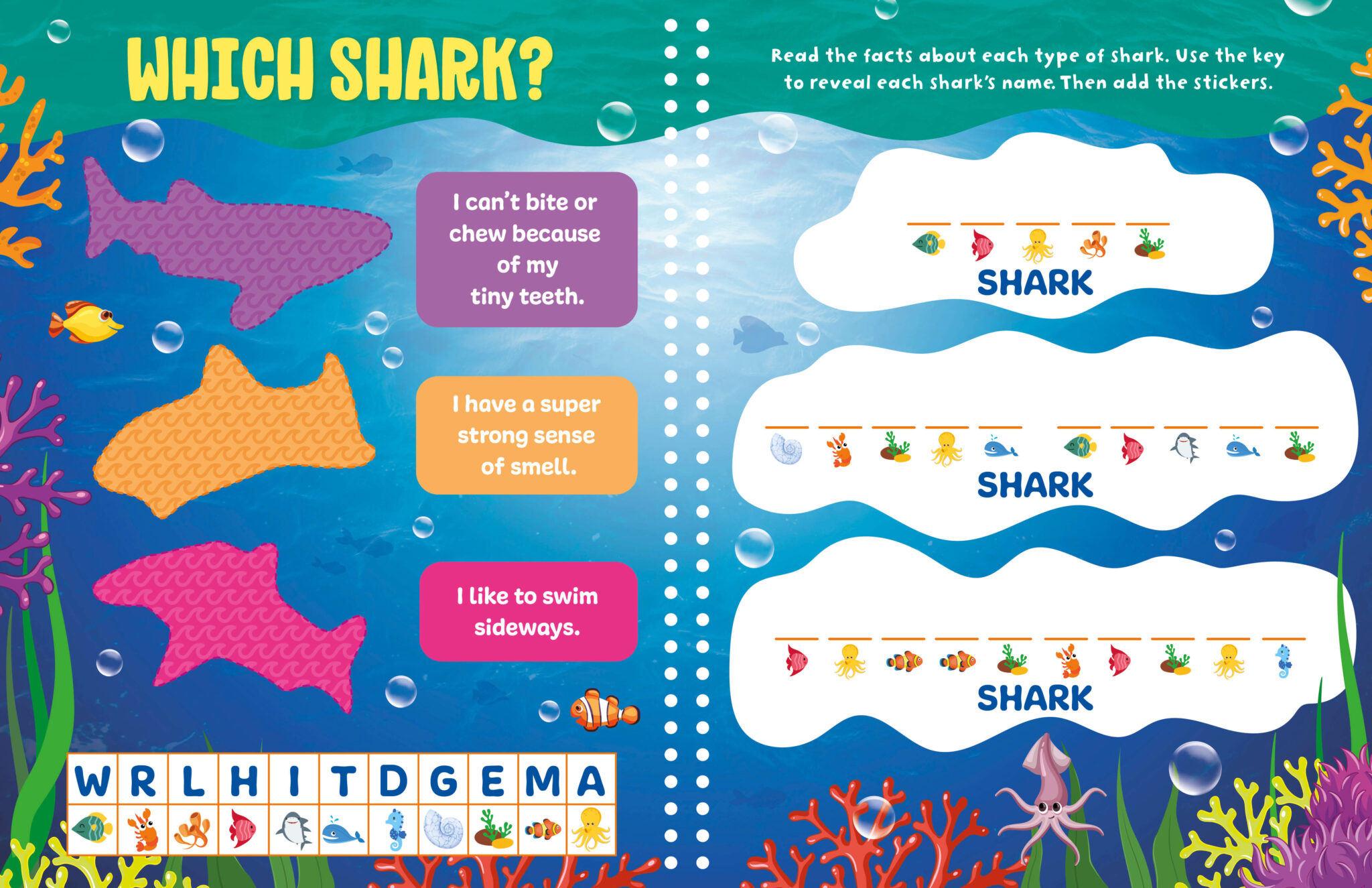 Discover Ocean Animals Write & Wipe | Kidsbooks Publishing
