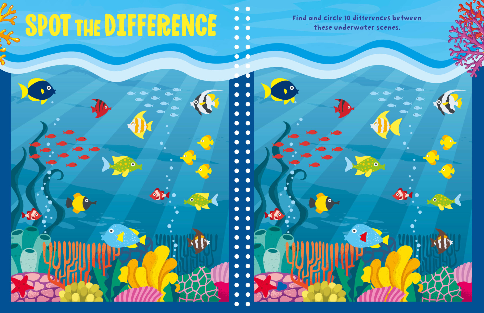 Discover Ocean Animals Write & Wipe | Kidsbooks Publishing