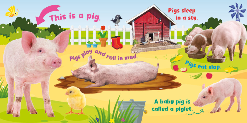 First Animal Facts: Farm (Sound Book) | Kidsbooks Publishing