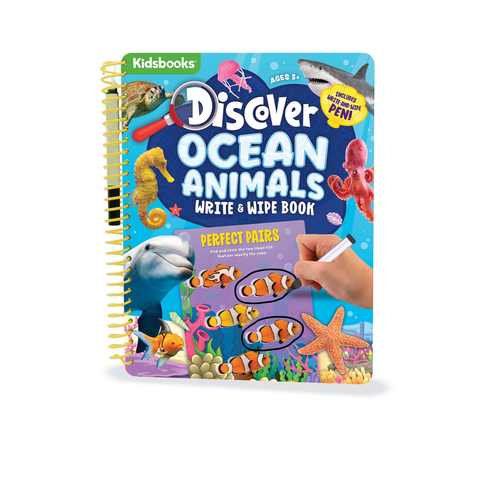 Ocean Animals: Discover Write & Wipe Activity Book | Kidsbooks Publishing
